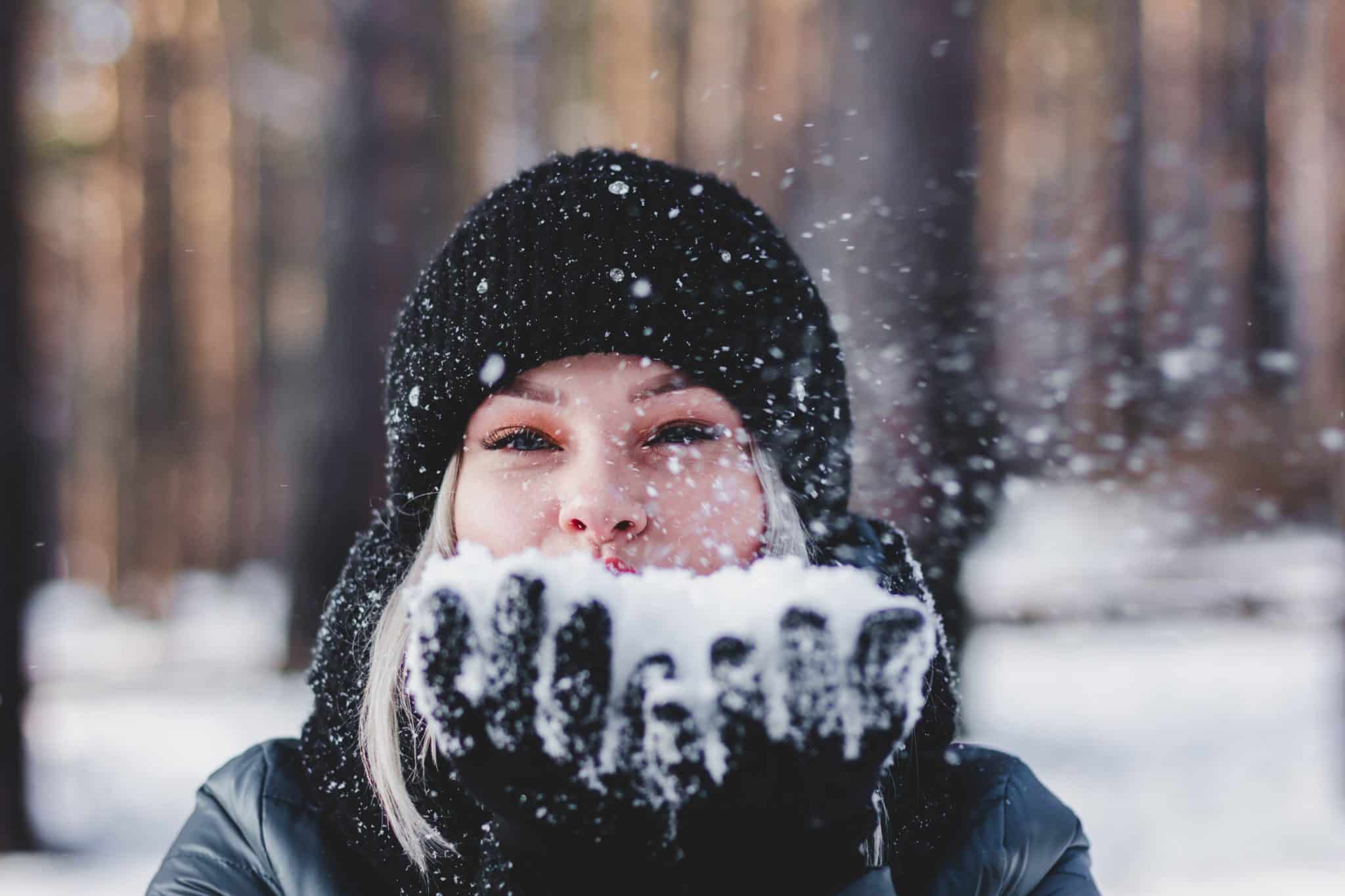 Providence Area Winter ActivitiesChristopher Dodge House bed & breakfast